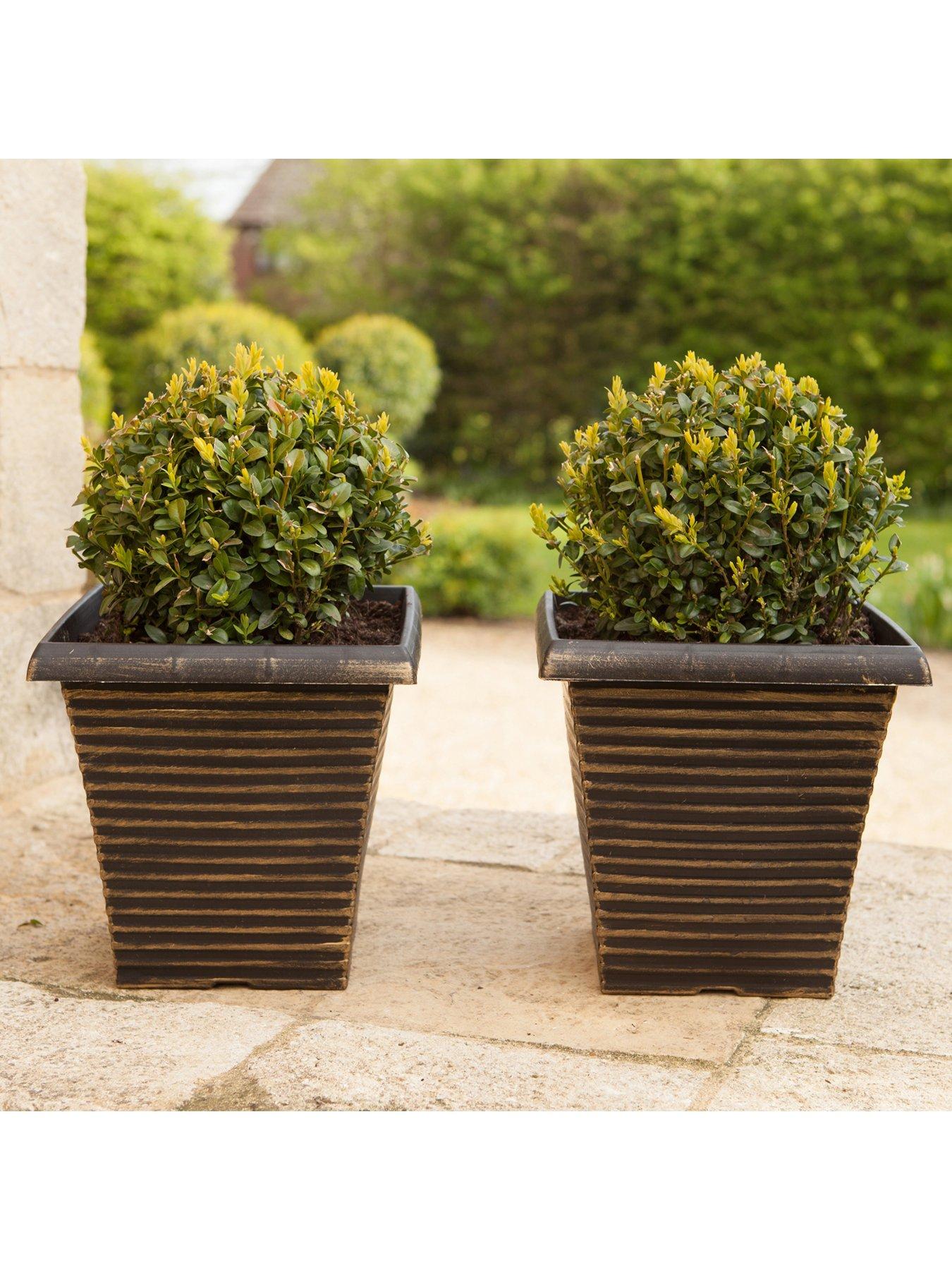 You Garden Pair Of Box Balls - 25cm | Very