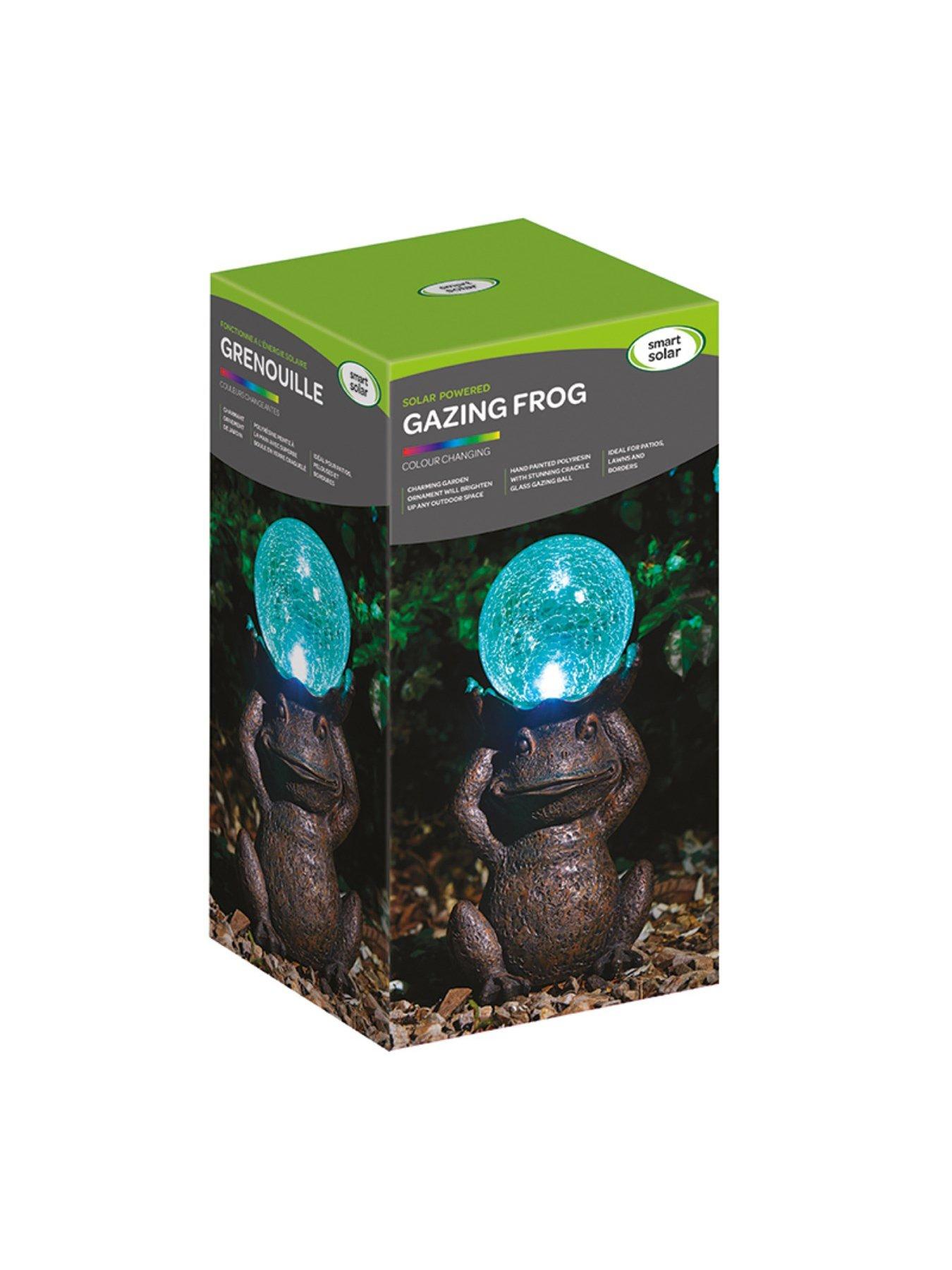 Smart Solar GAZING FROG | very.co.uk