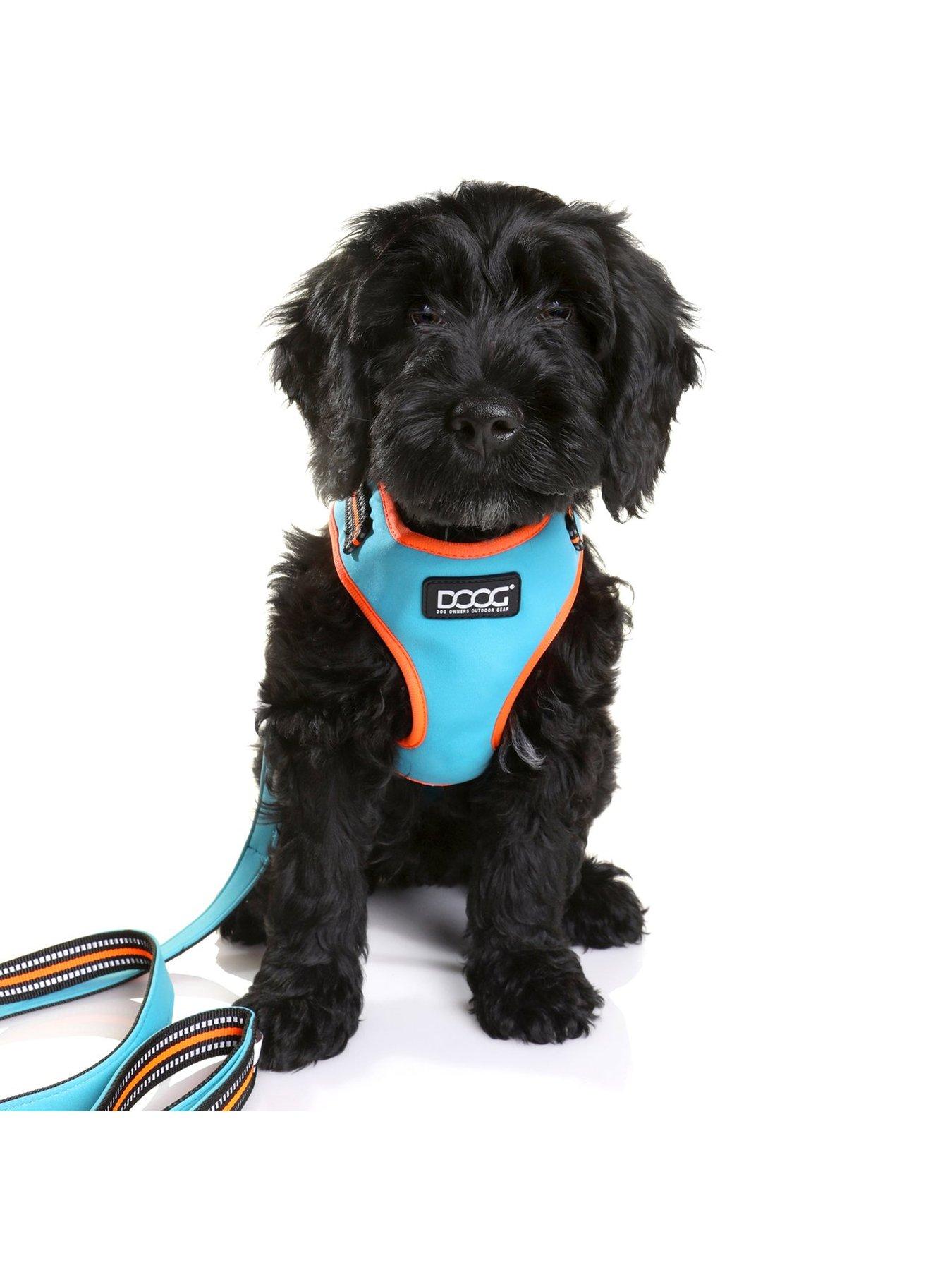 Doog neon harness - Beethoven | very.co.uk