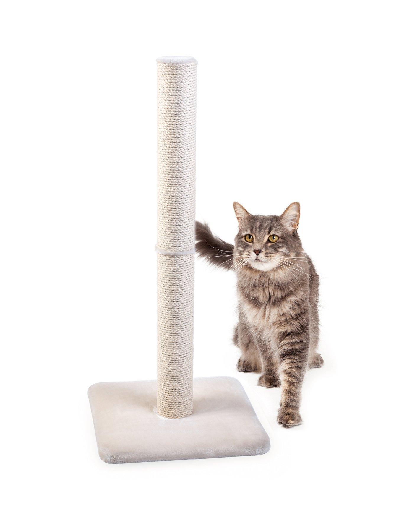 Zoon Deluxe Scratch Post 1m | very.co.uk