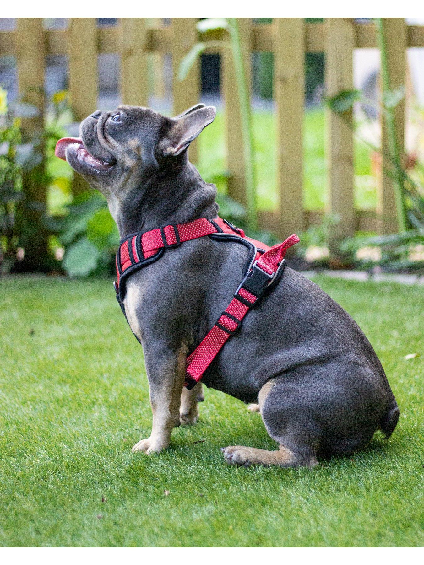 Rosewood Reflective Dog Harness Large Red Very