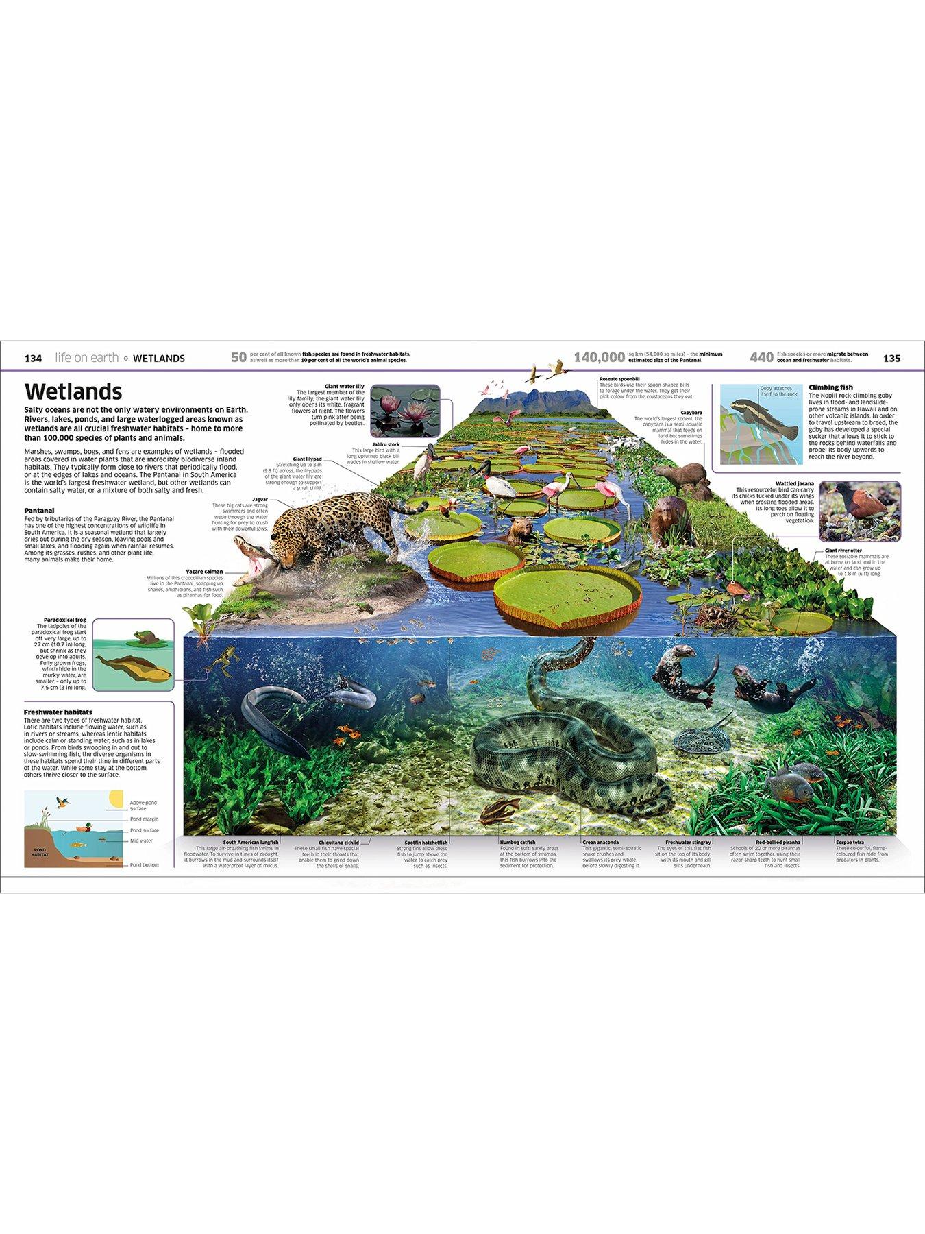 Knowledge Encyclopedia Earth Book | Very