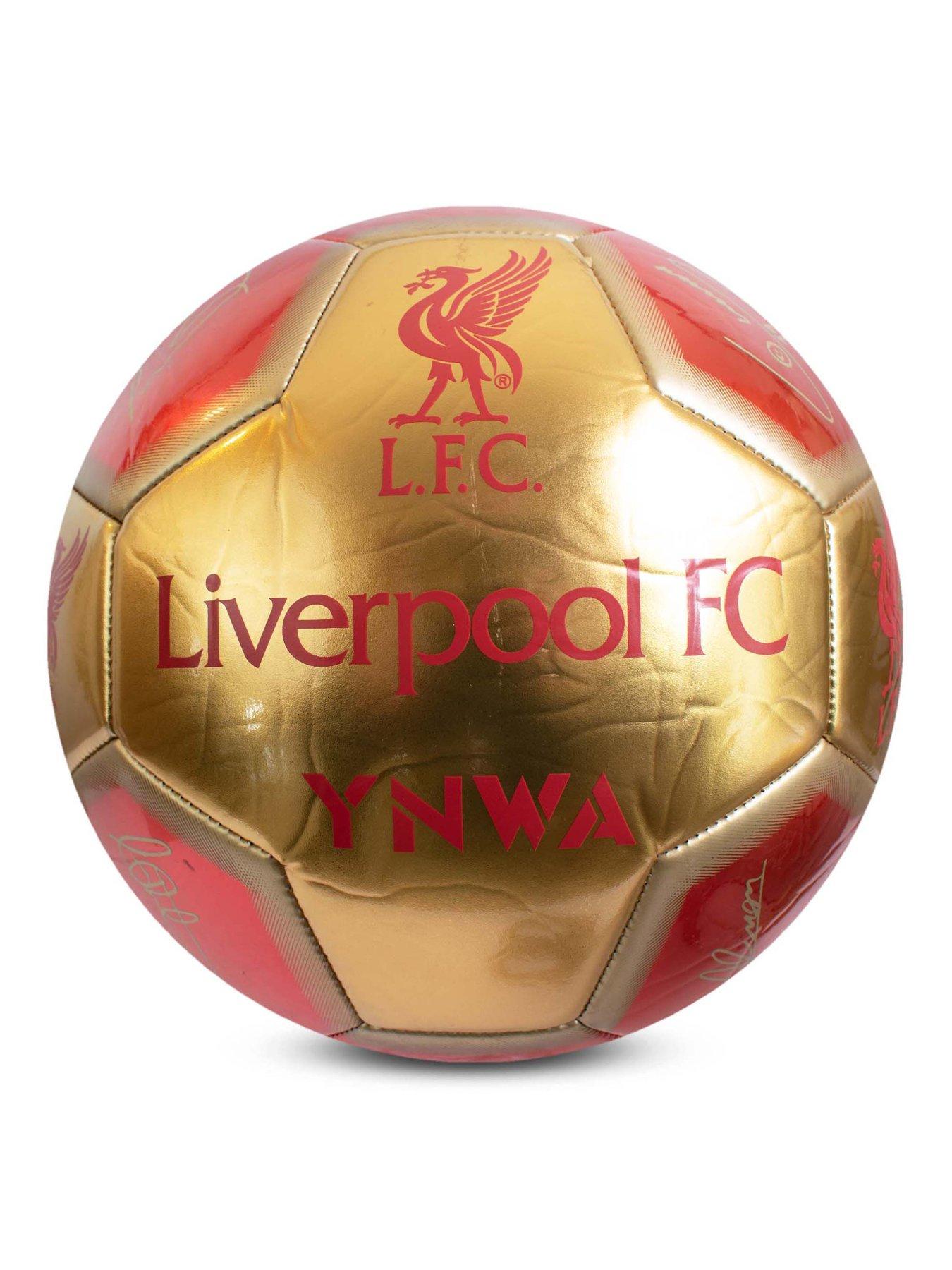 Liverpool FC Liverpool Size 5 Metallic Signature Football | Very.co.uk