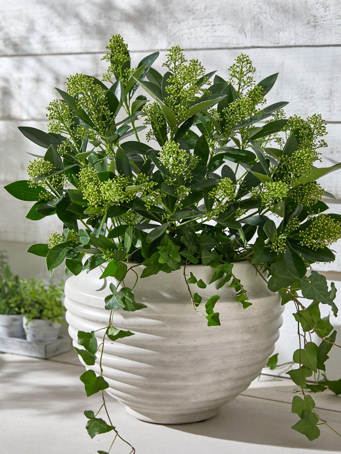 Planters | Garden Planters | Outdoor Planter Boxes | Very