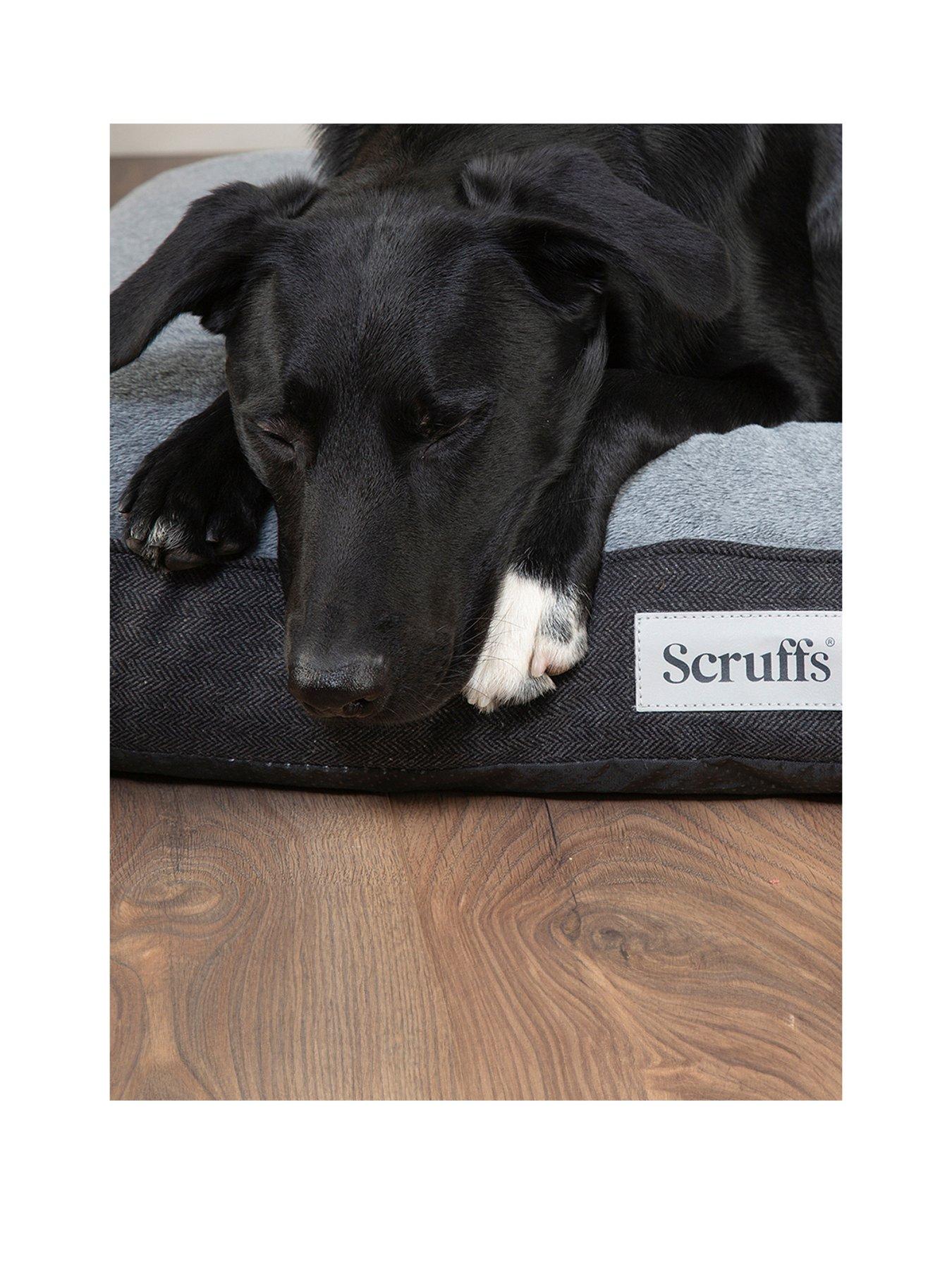 Scruffs Harvard Memory Foam Orthopaedic Mattress | Very