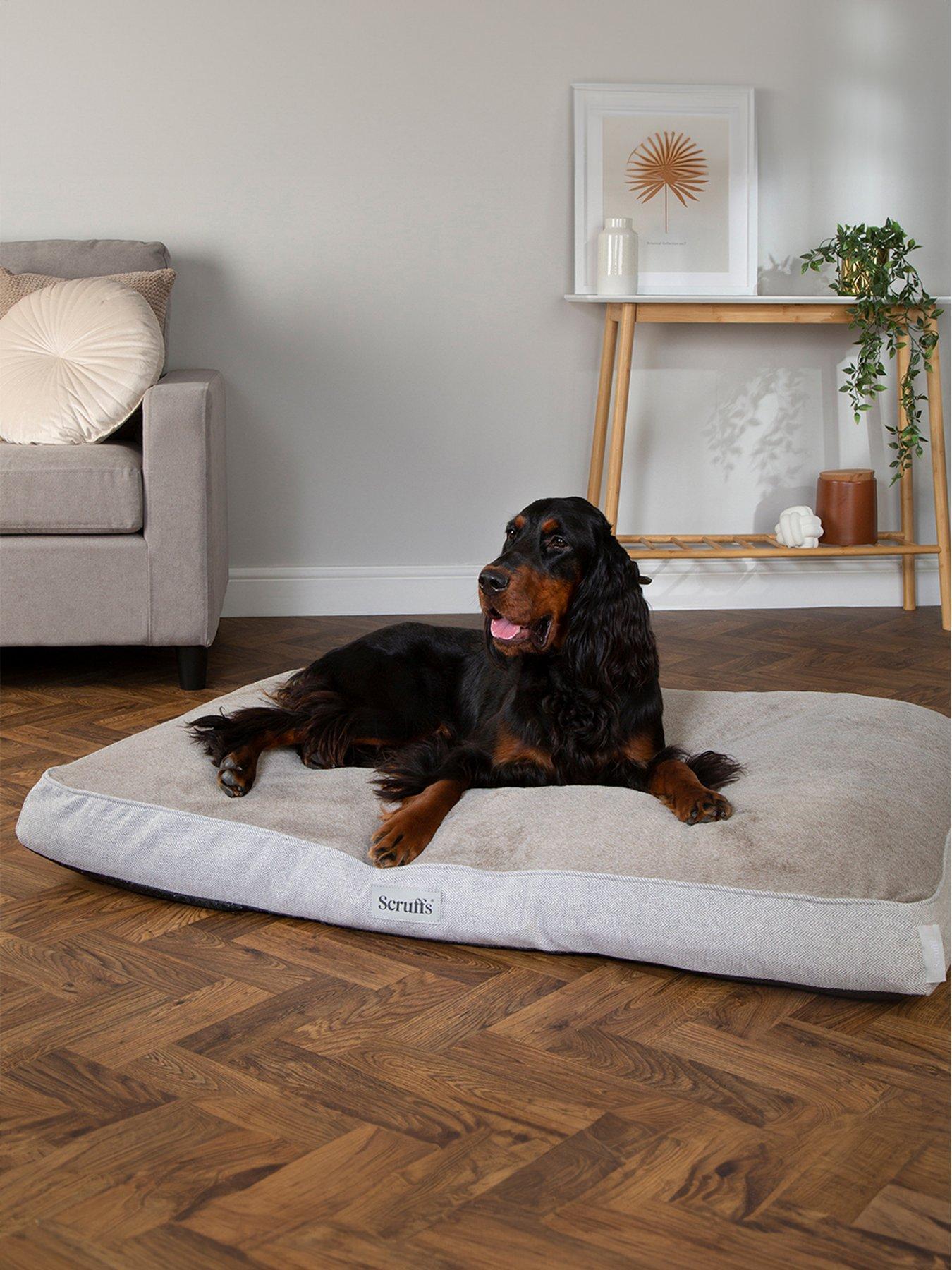 Scruffs Harvard Memory Foam Orthopaedic Mattress (Large) | Very.co.uk