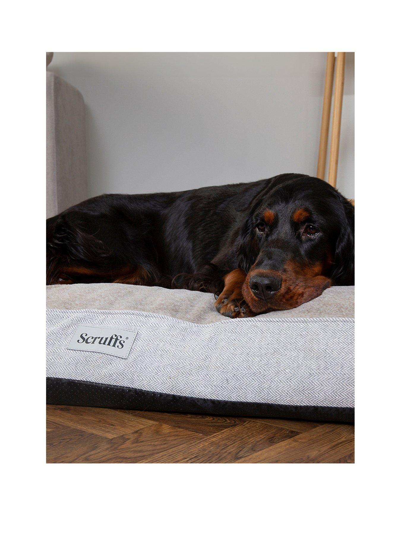 Scruffs Harvard Memory Foam Orthopaedic Mattress (Large) | Very.co.uk