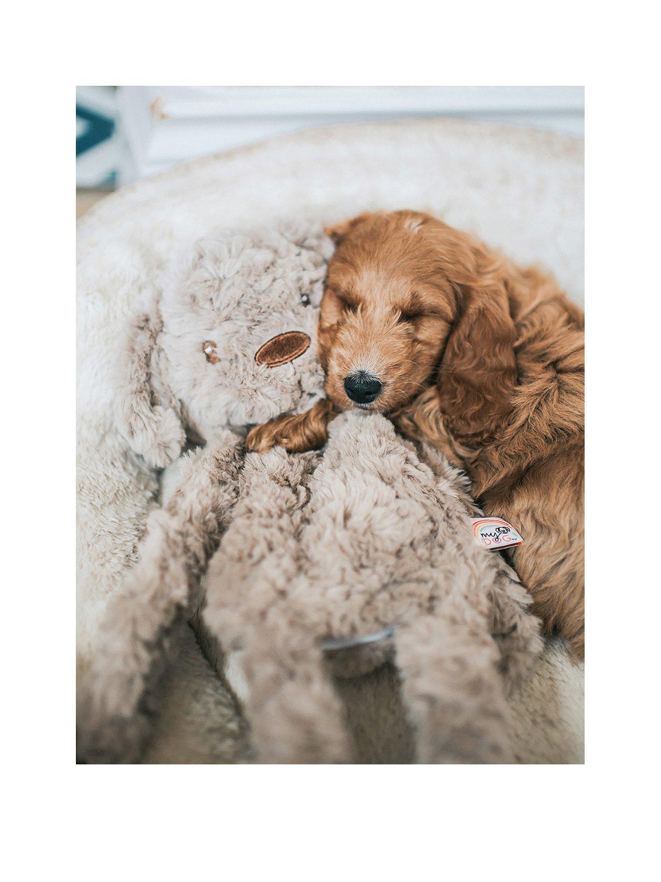 Rosewood Teddy Anti-Anxiety Plush Dog Toy | Very