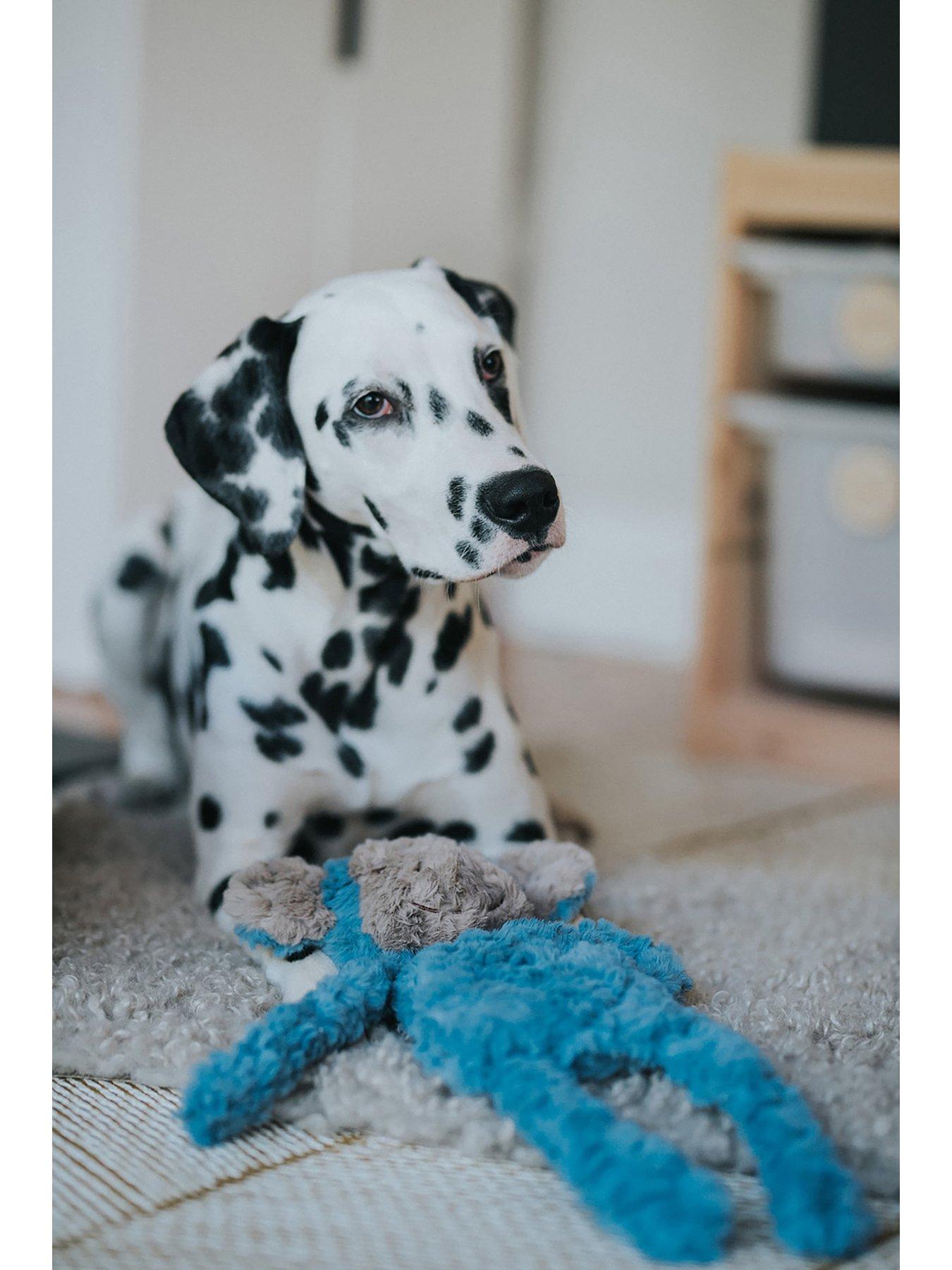 Rosewood Monkey Anti-Anxiety Plush Dog Toy | Very