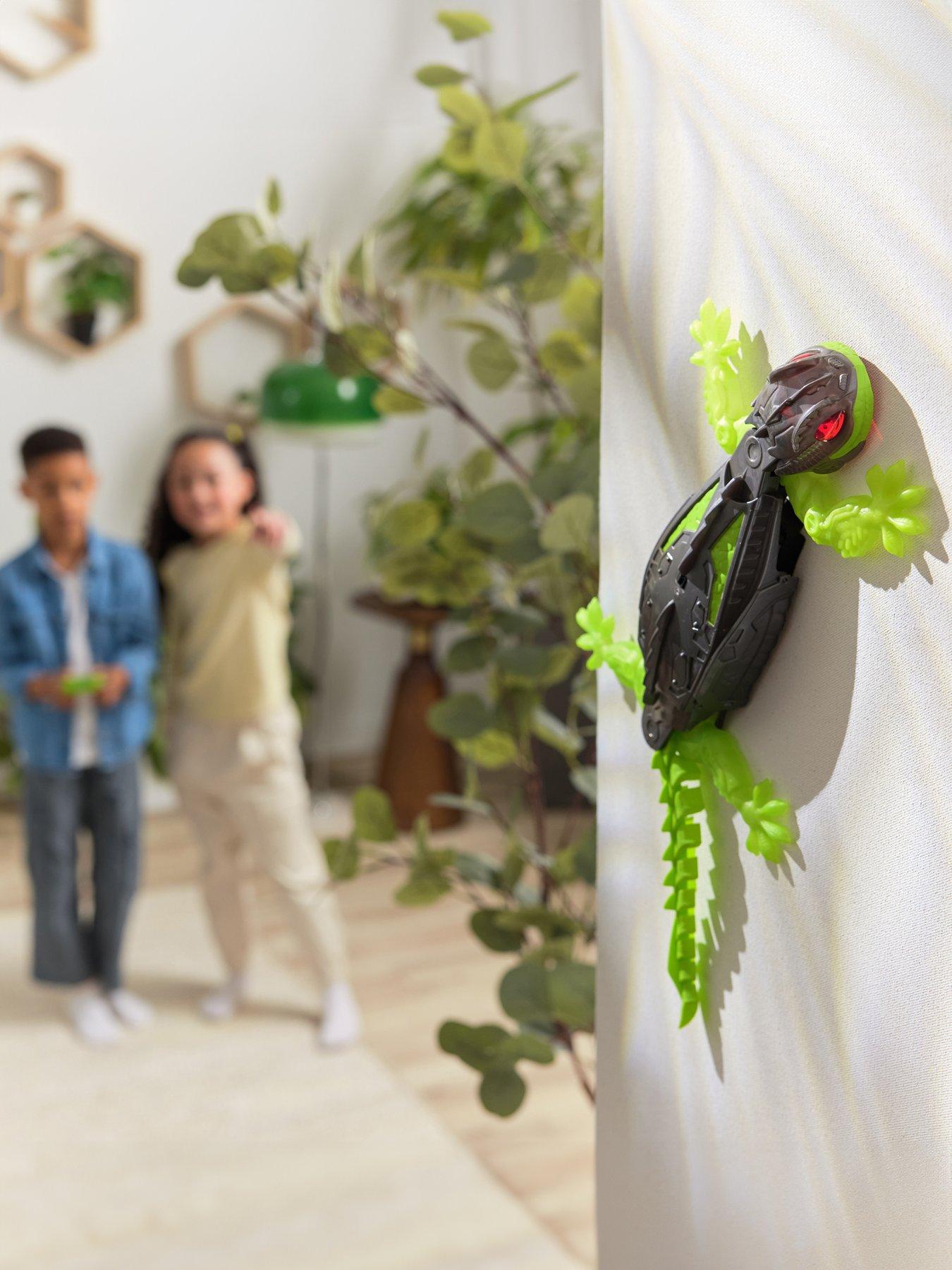 Wall Climber Gecko | Very