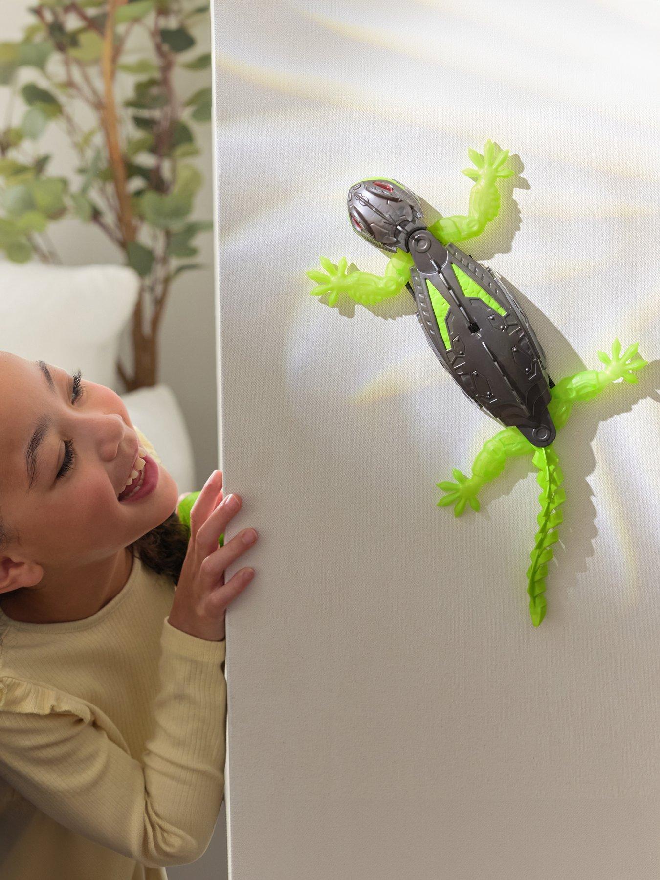 Wall Climber Gecko | Very