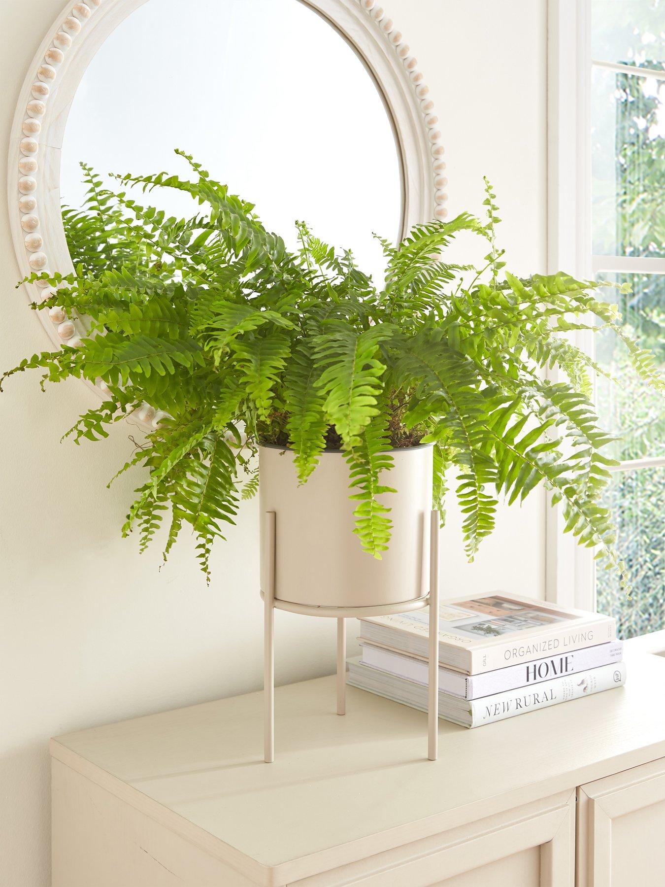 Very Home Metal Planter | Very