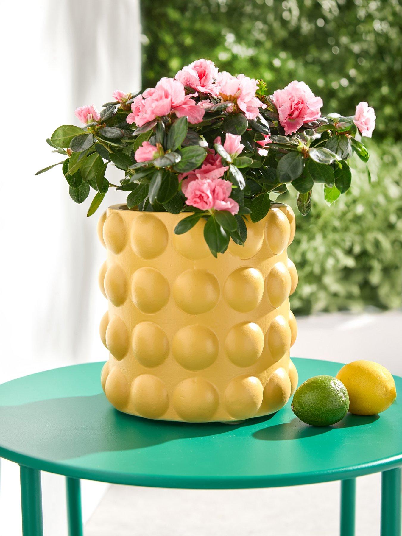 Very Home Bobble Planter | Very