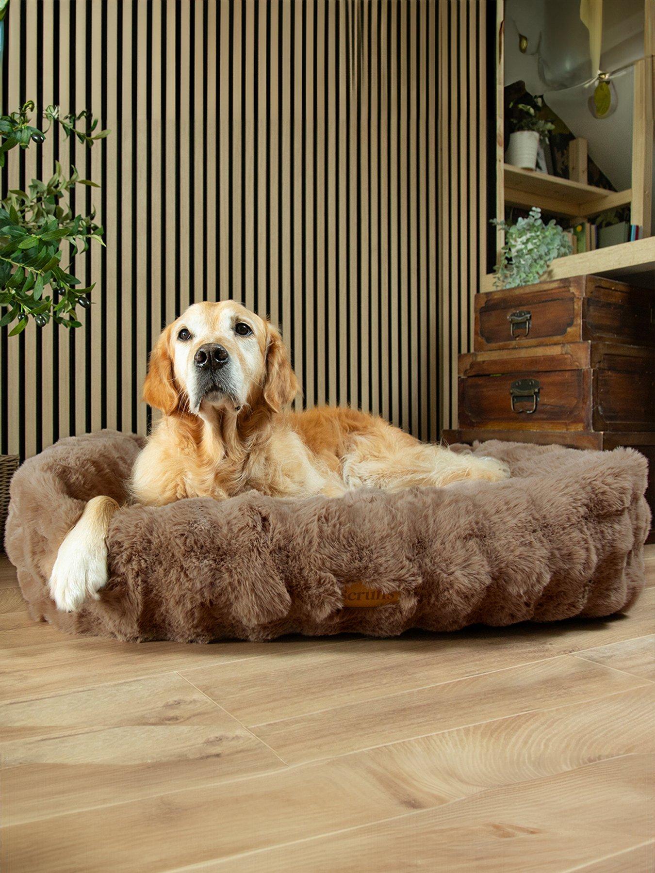 Box dog bed store