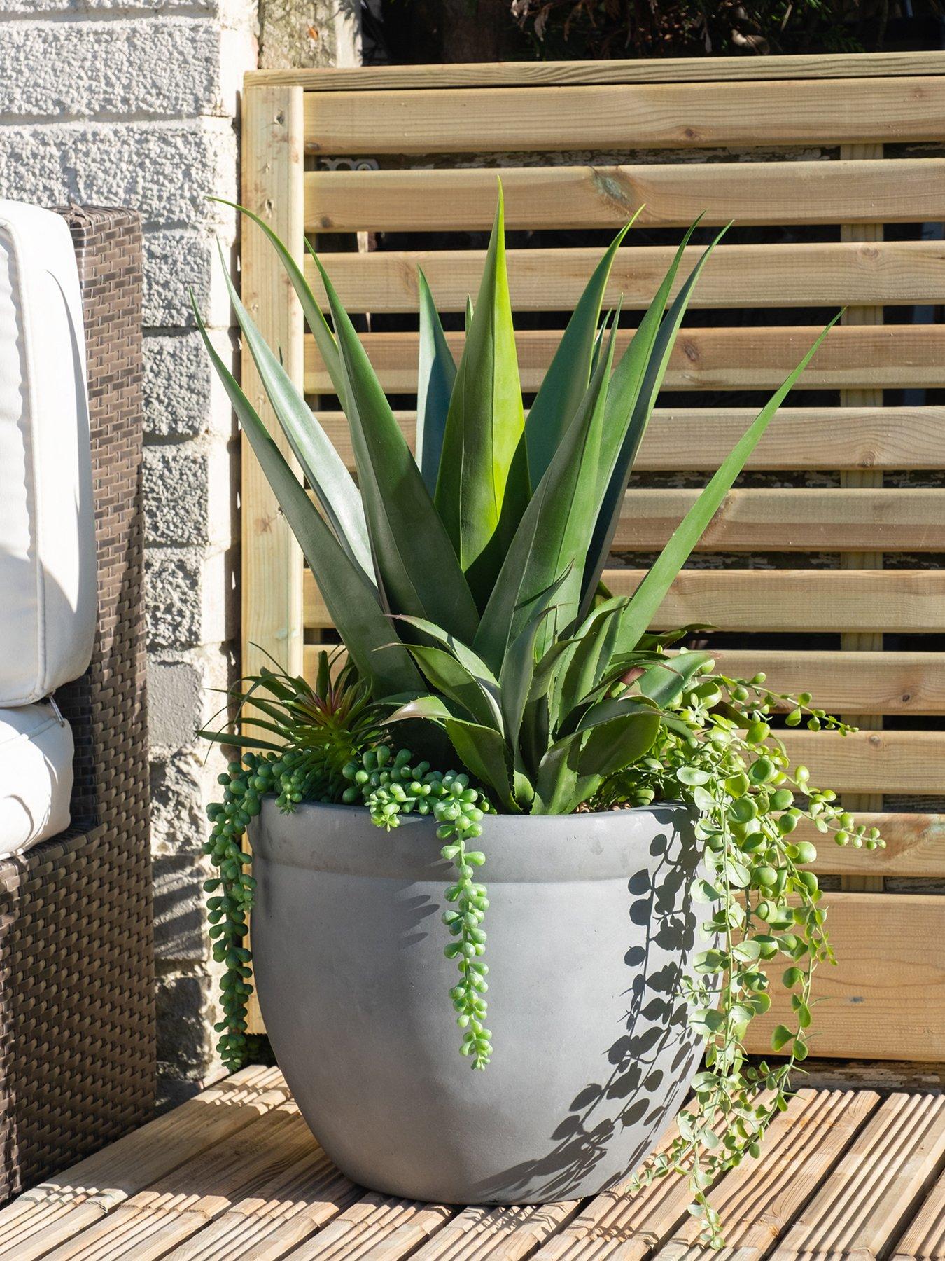 Scottish Everlastings OUTDOOR 67cm Artificial Mixed Agave Container in ...