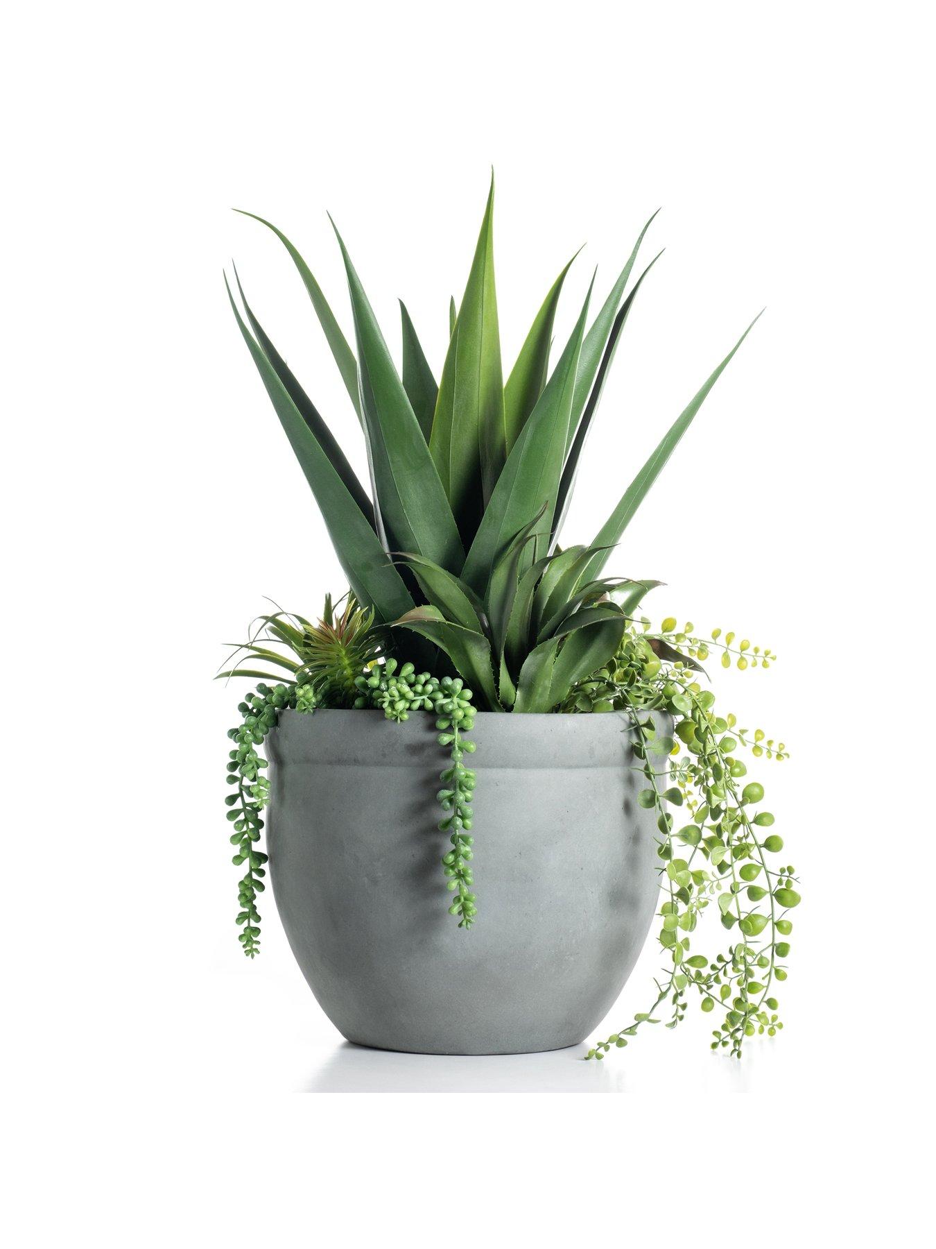Scottish Everlastings OUTDOOR 67cm Artificial Mixed Agave Container in ...
