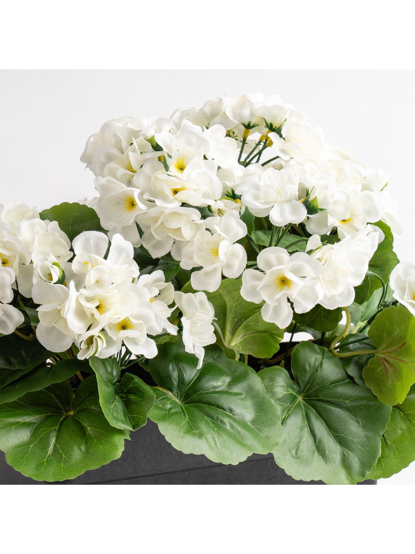 Scottish Everlastings OUTDOOR Artificial White Geranium Trough | Very