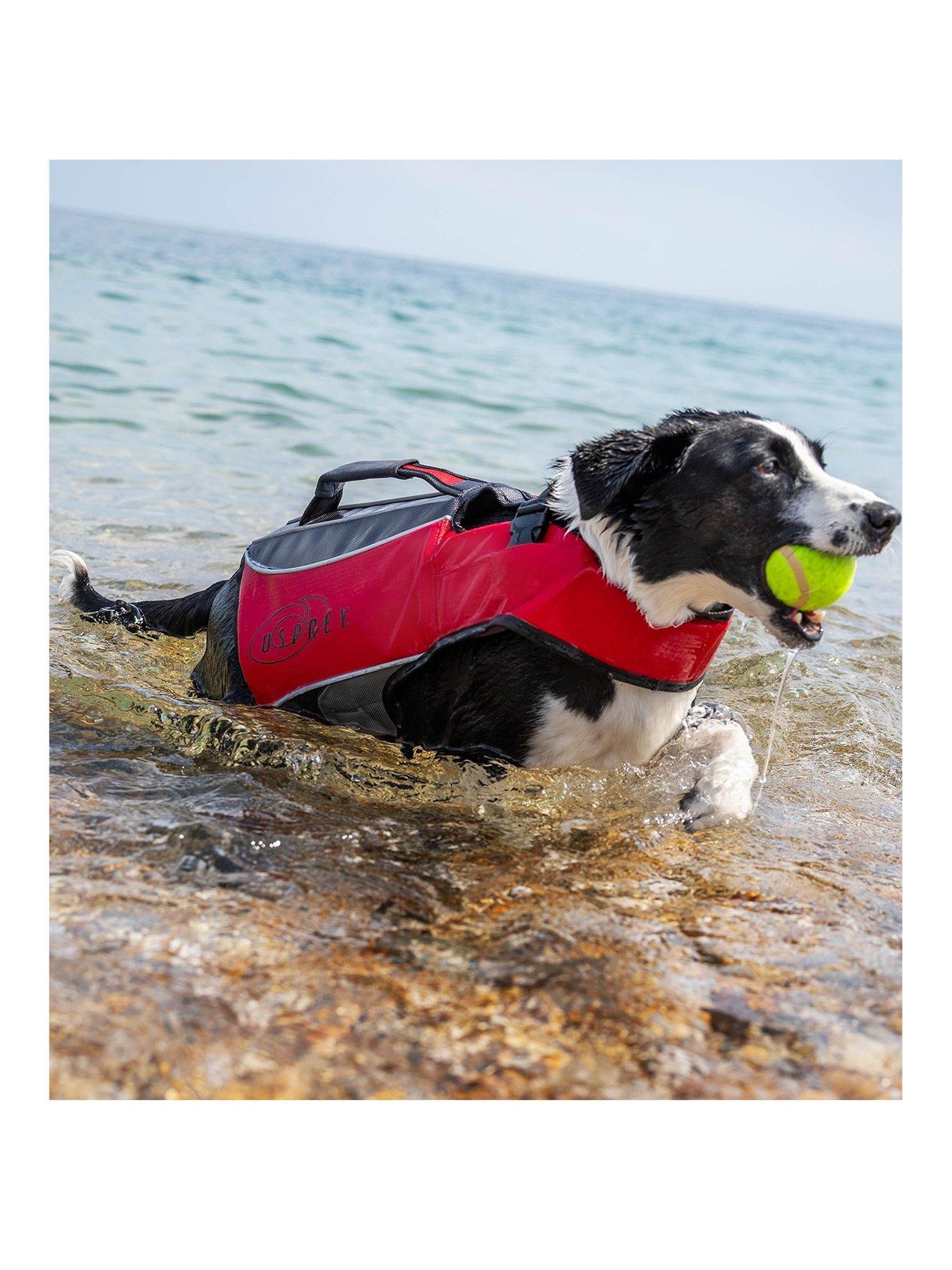 Osprey Action Sports Dog Buoyancy Aid, Dog Swimming Vest | Very