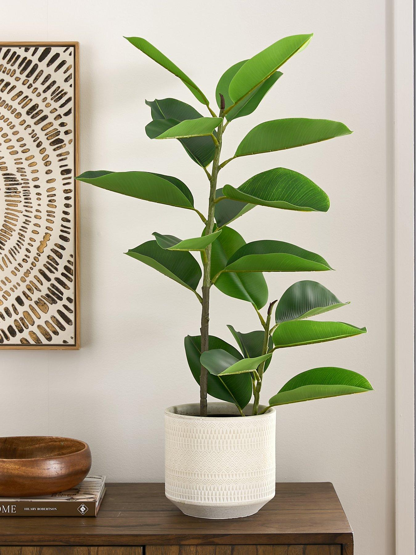 The Very Collection Real Touch Faux Rubber Tree in Plastic Pot | Very