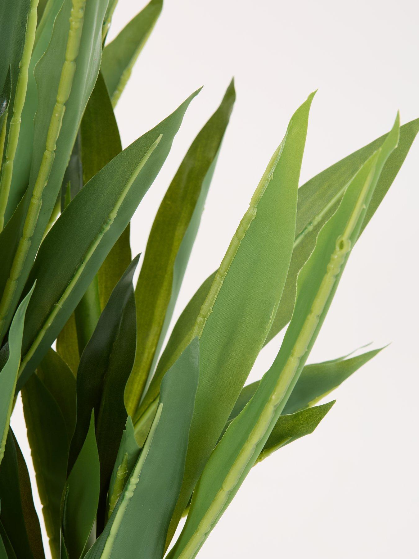 The Very Collection Faux Double Stem Yucca Plant in Plastic Pot | Very