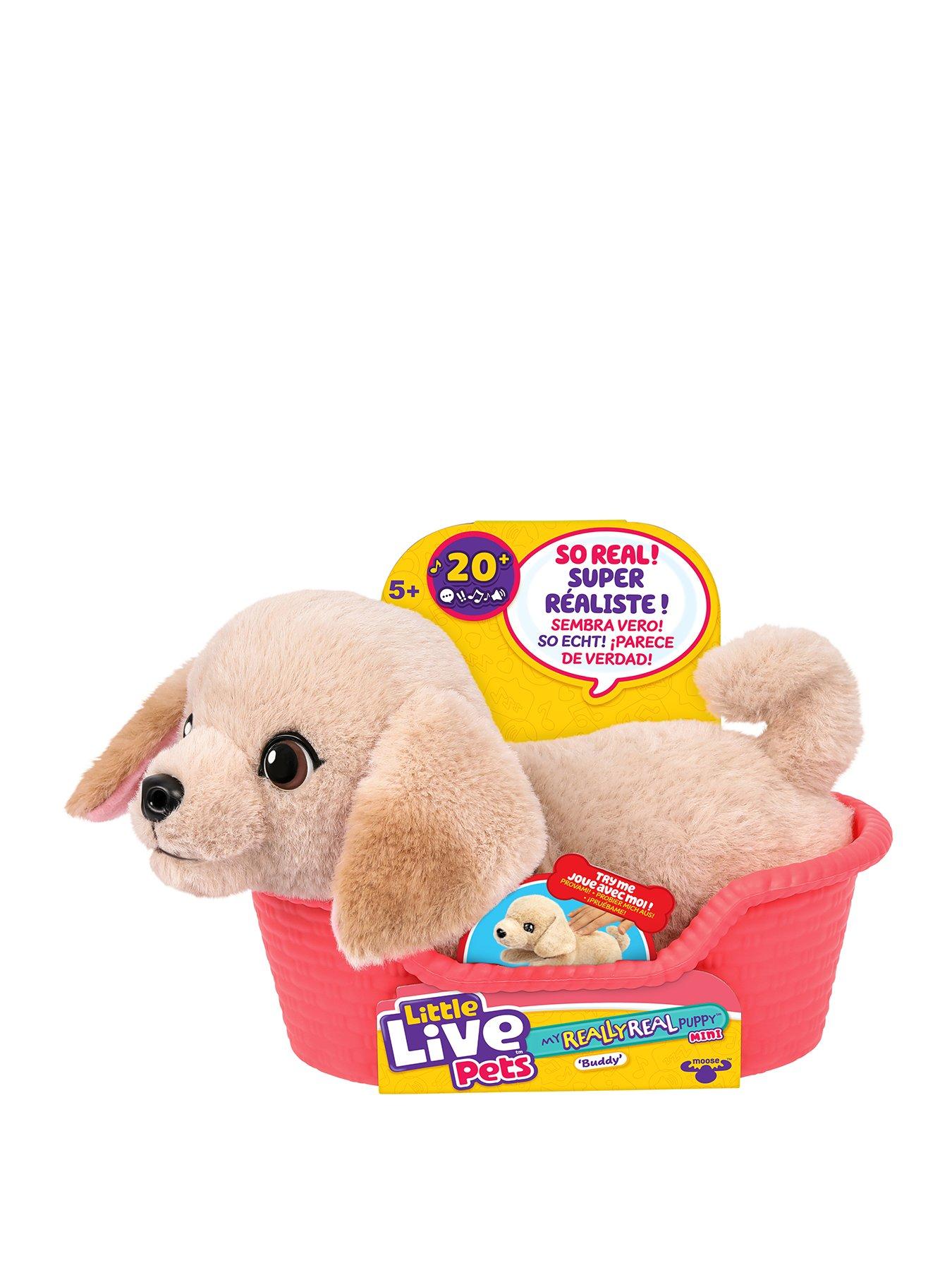 Little Live Pets My Really Real Puppy Minis - Buddy the Interactive Pet ...