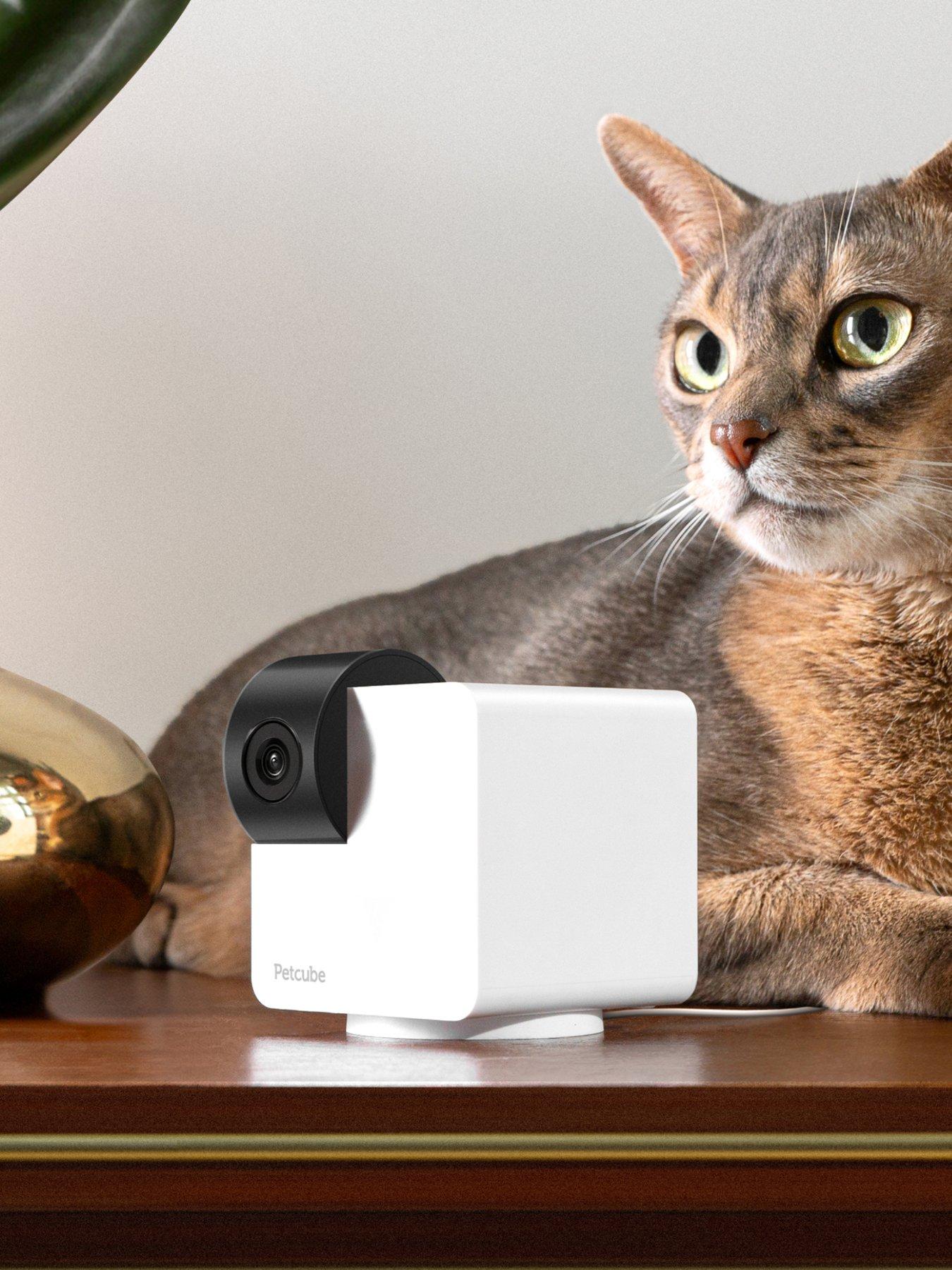 Petcube Cam 360 Pet monitoring Camera | Very