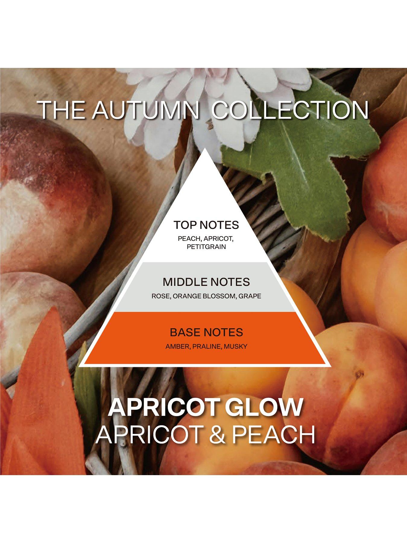 French Connection Autumn Collection 2 Piece Gift Set: Diffuser 100ml ...