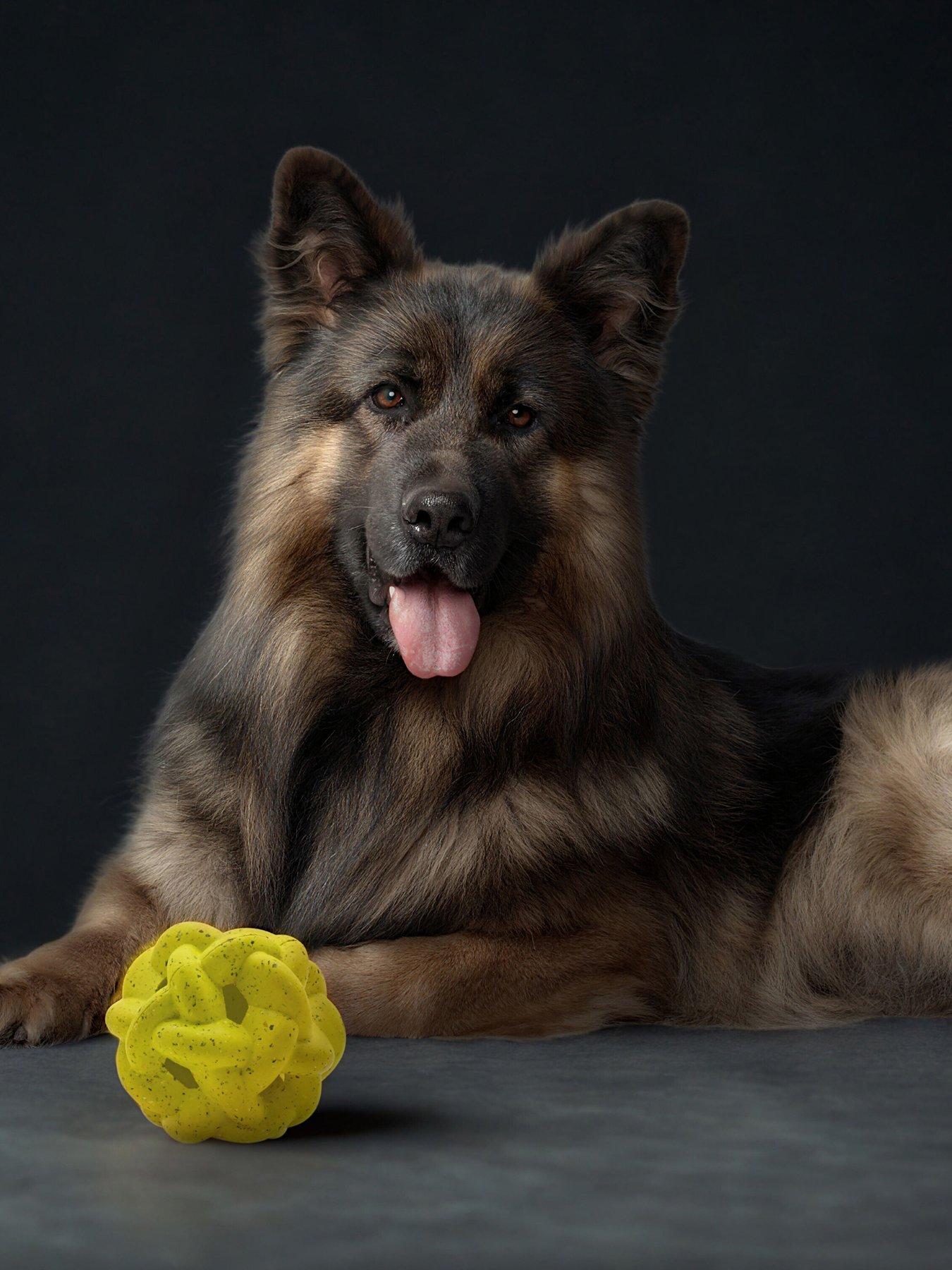 Nike Max Fusion Max Fusion Gyro Dog Toy For Large Dogs | Very