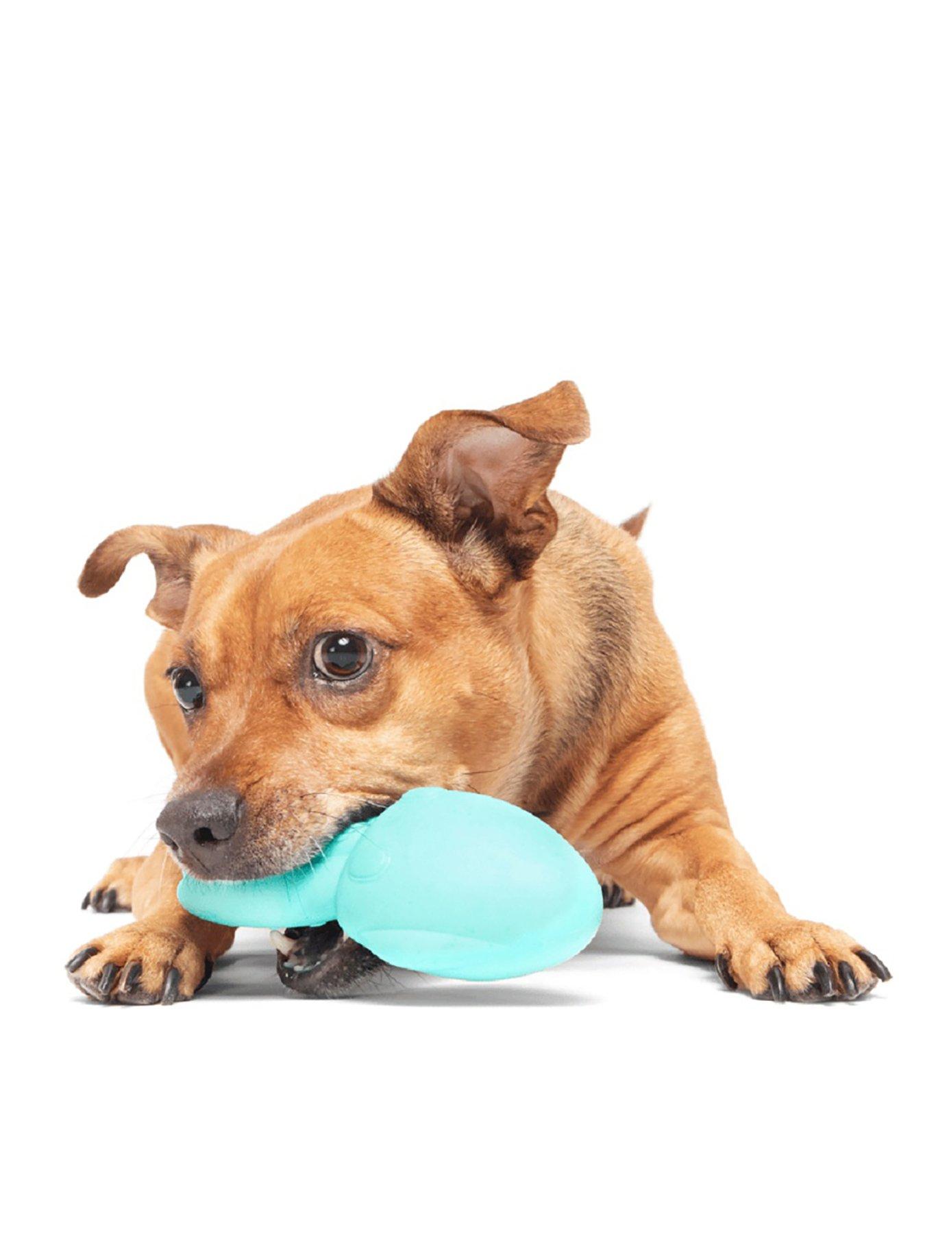 Bark Whiz Squid Dog Toy | Very