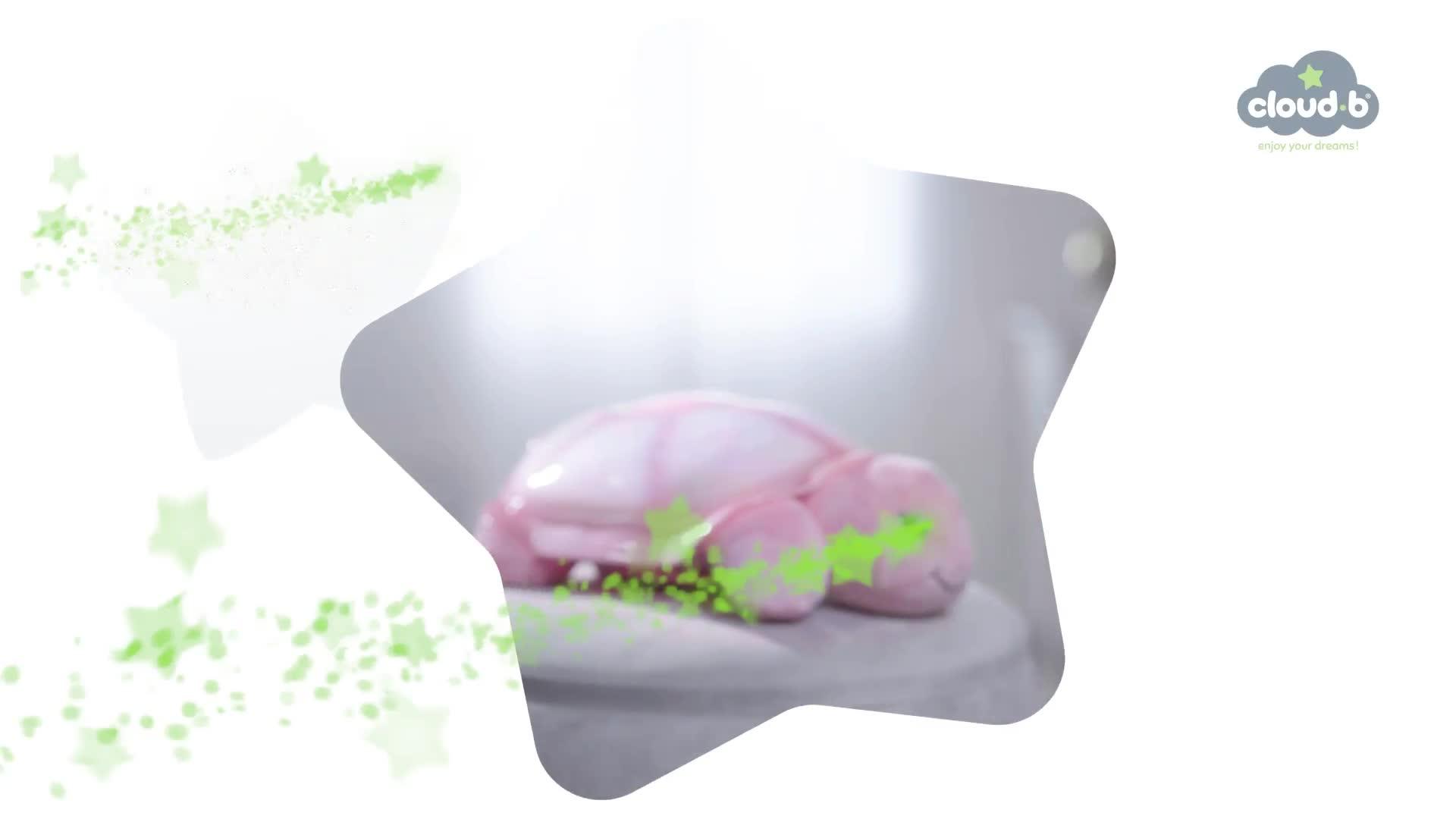 cloud.b Twinkling Twilight Turtle Pink Night Light Projector Sleeping ...